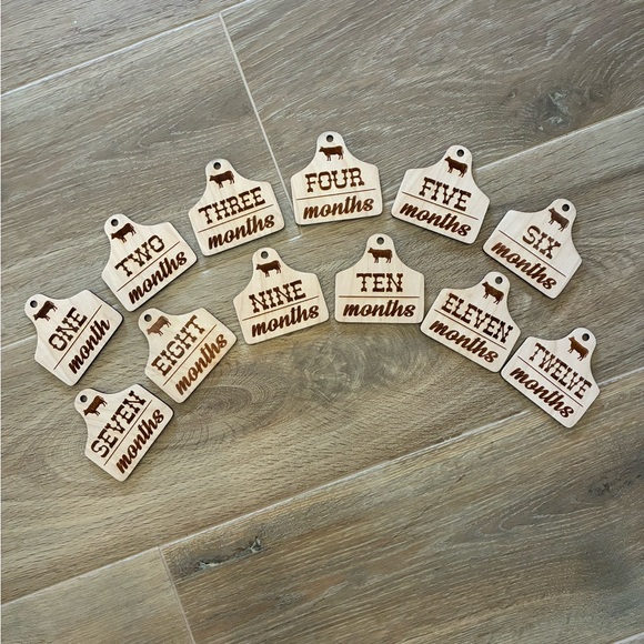 Other | Western Baby Monthly Milestone Tags | Poshmark